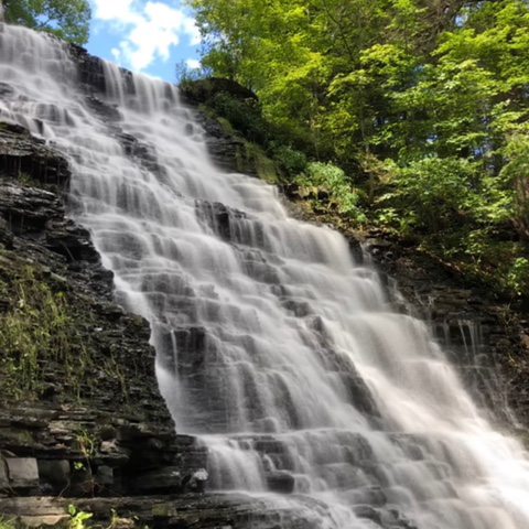 Waverly | Experience Tioga | Events, Restaurants, & Activities in Tioga ...