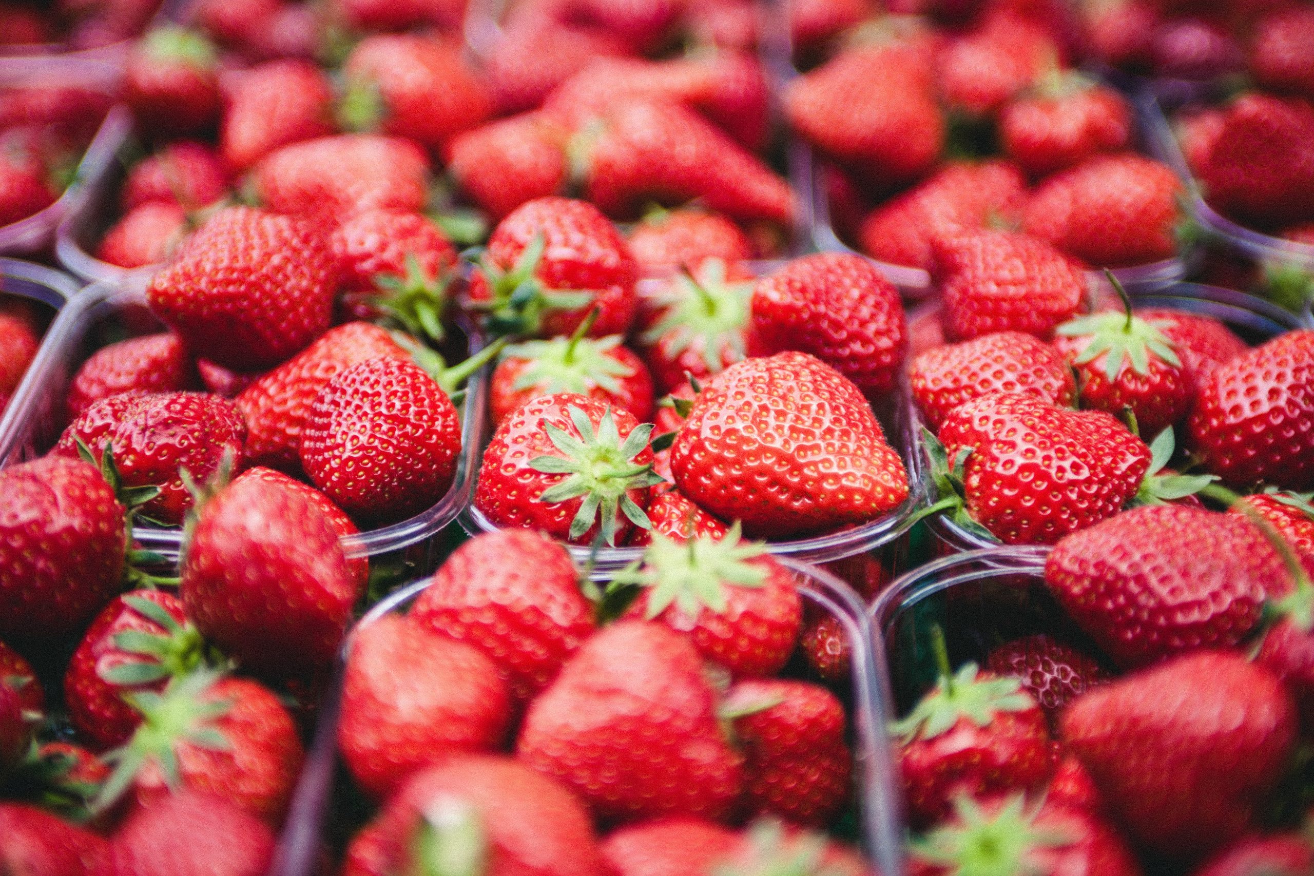 strawberries | Experience Tioga | Events, Restaurants, & Activities in ...